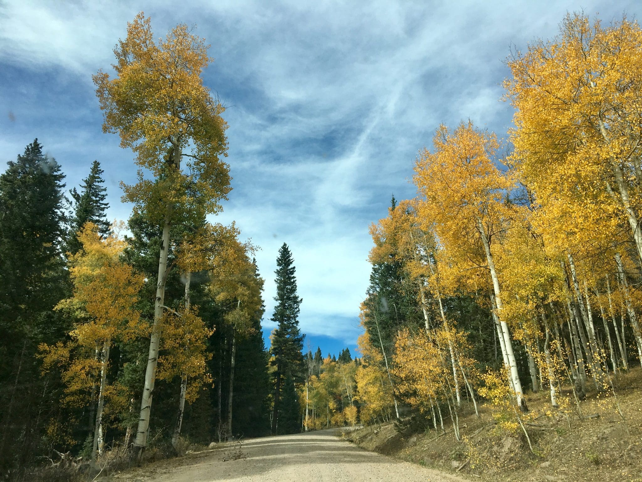 Weekender Photo Spree: Local Fall Colors - Sunshine with Savannah