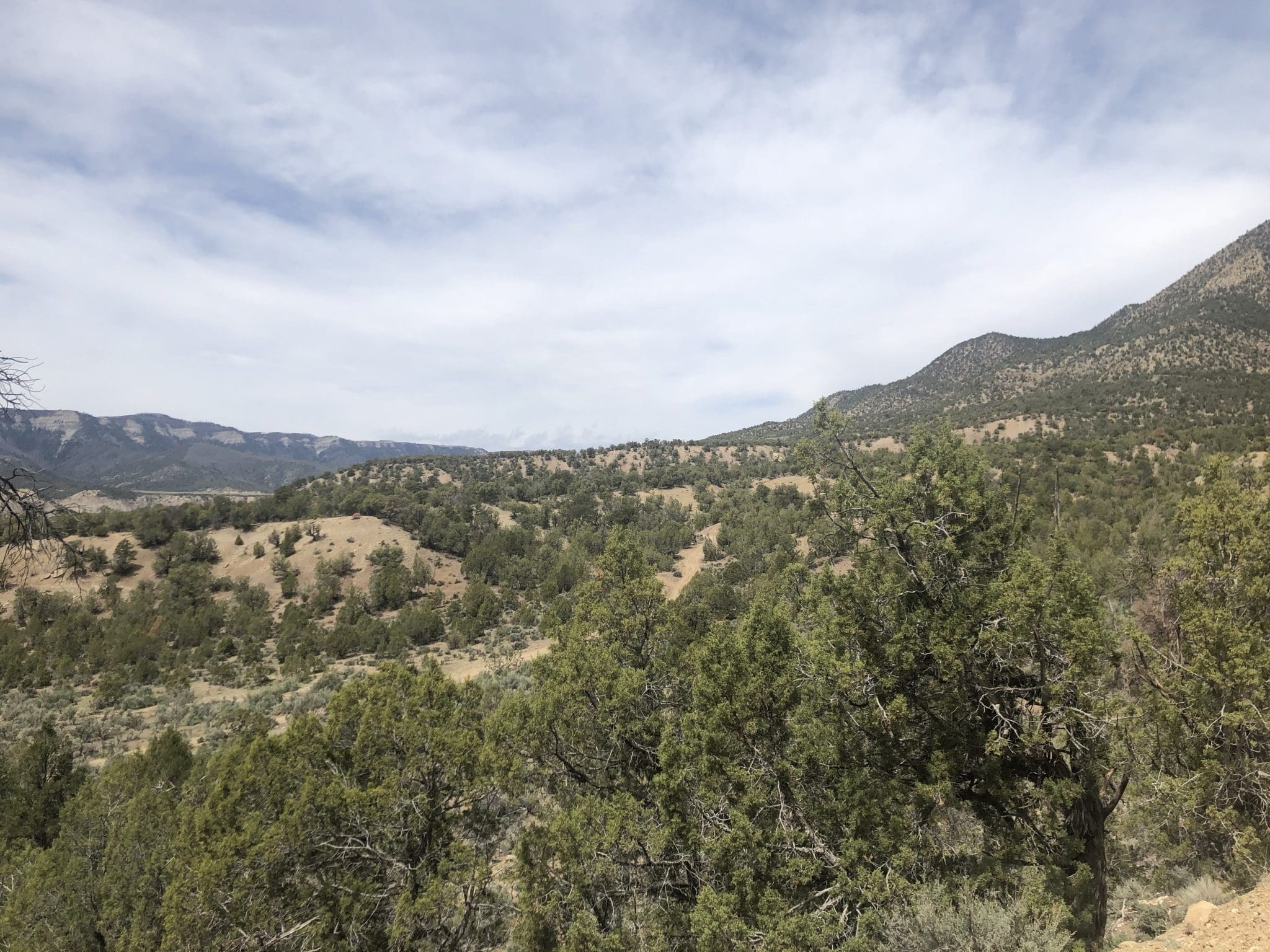 Hiking the Rifle Arch Trail - Sunshine with Savannah