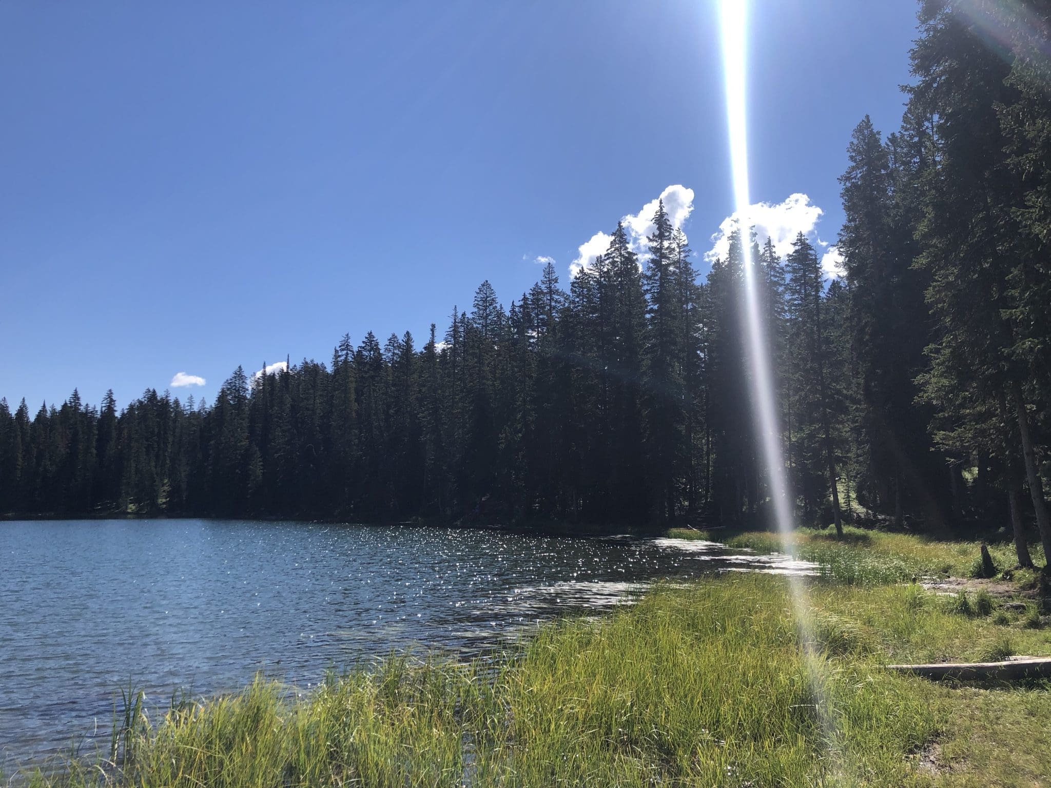 A trip to Colorado - Sunshine with Savannah