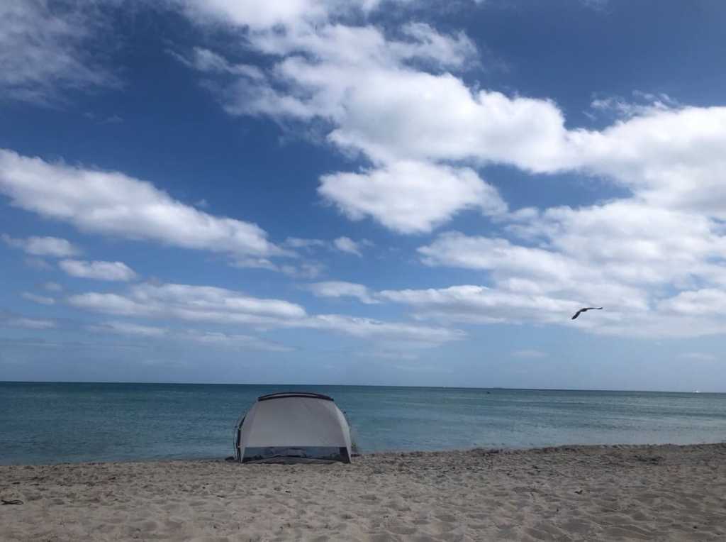 Photos from North Miami Beach - Sunshine with Savannah