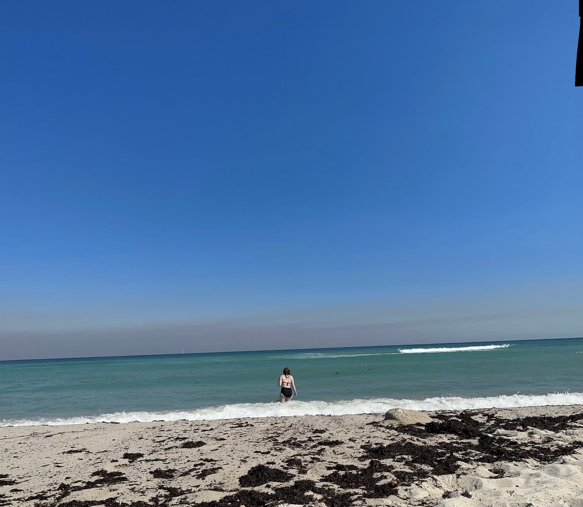 Photos from North Miami Beach - Sunshine with Savannah