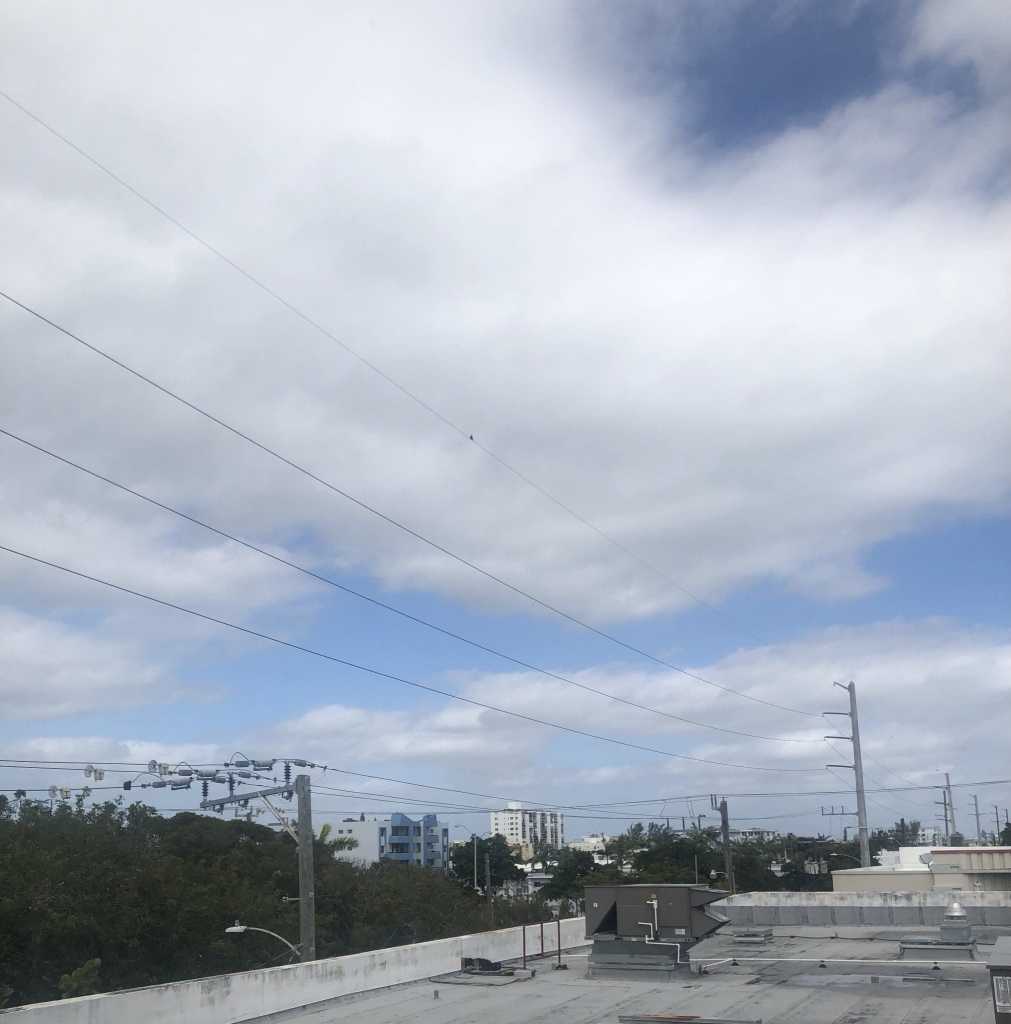 Photos from North Miami Beach - Sunshine with Savannah