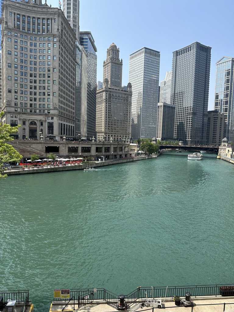 Our first trip to Chicago - Sunshine with Savannah