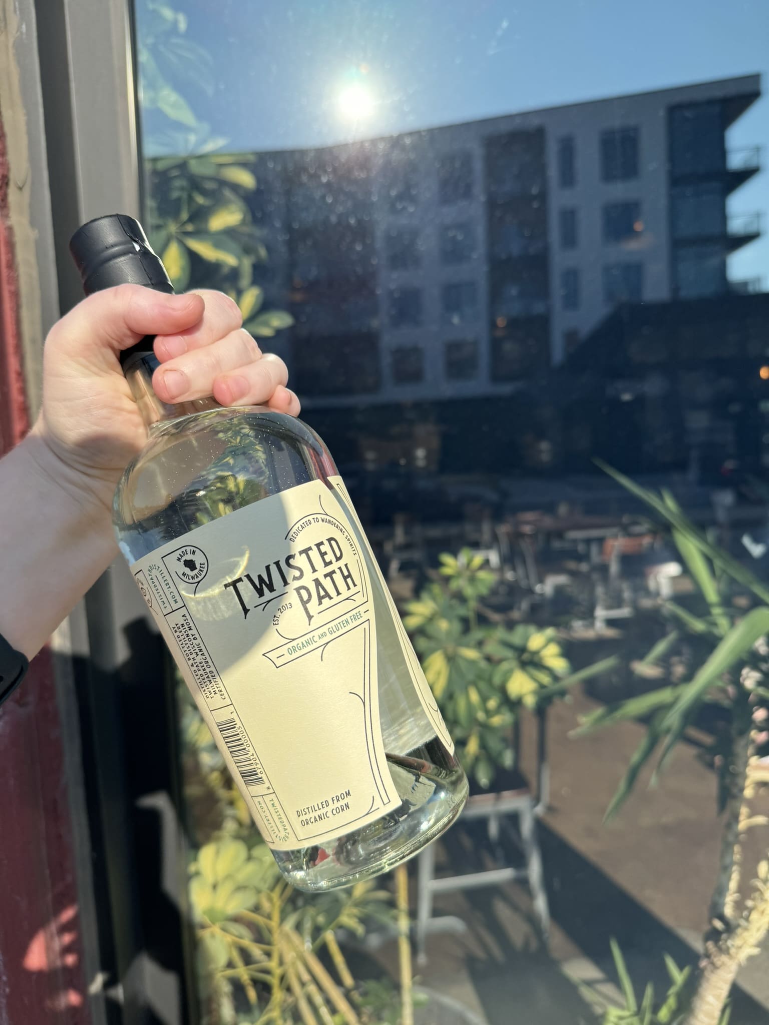 Bridgerton party details - Sunshine with Savannah
